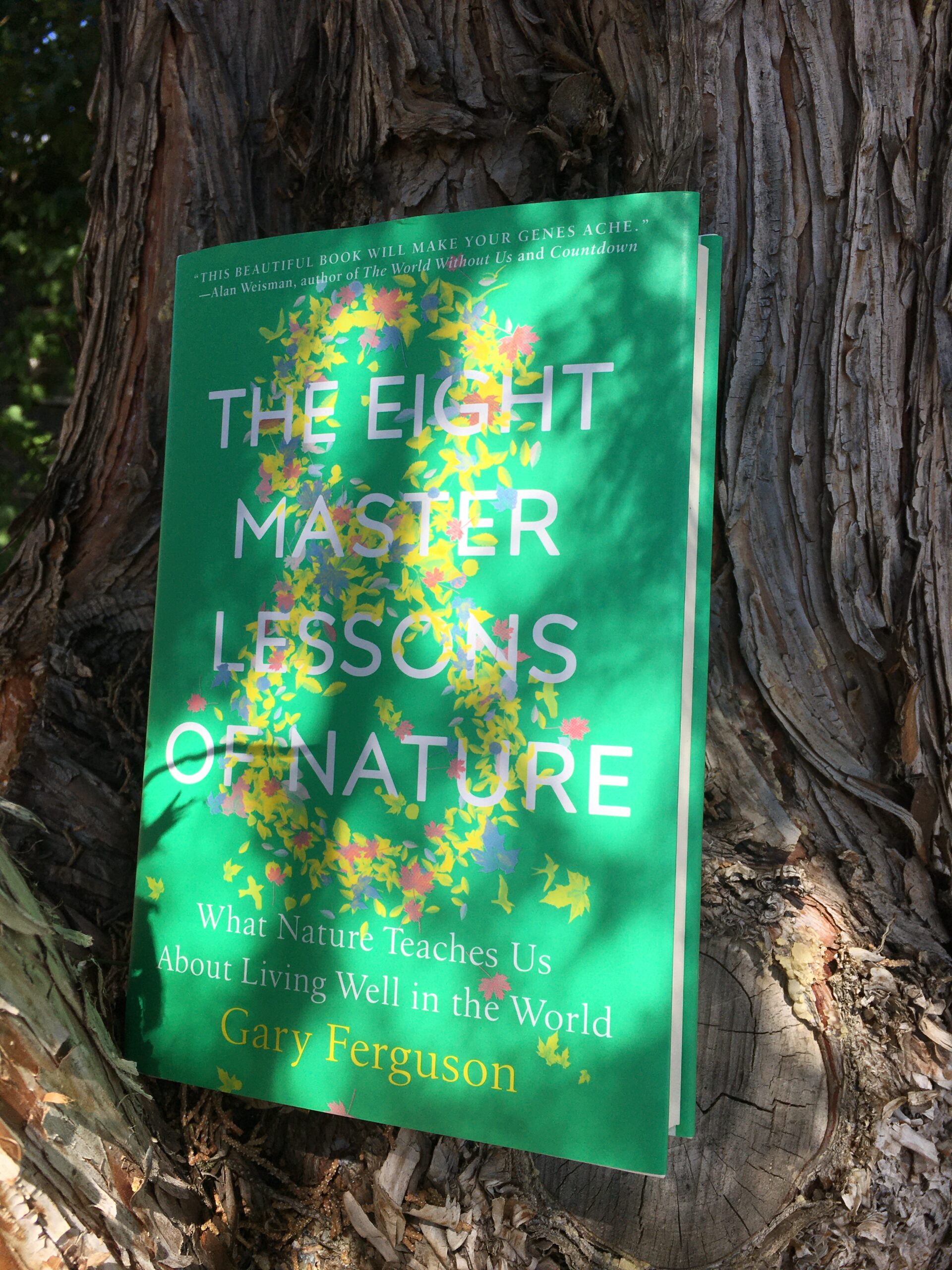 Impressions ~ Walking II - Earthwise and the Alabaster Horse